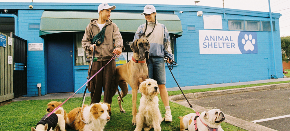 Campaign material - volunteering.gov.au