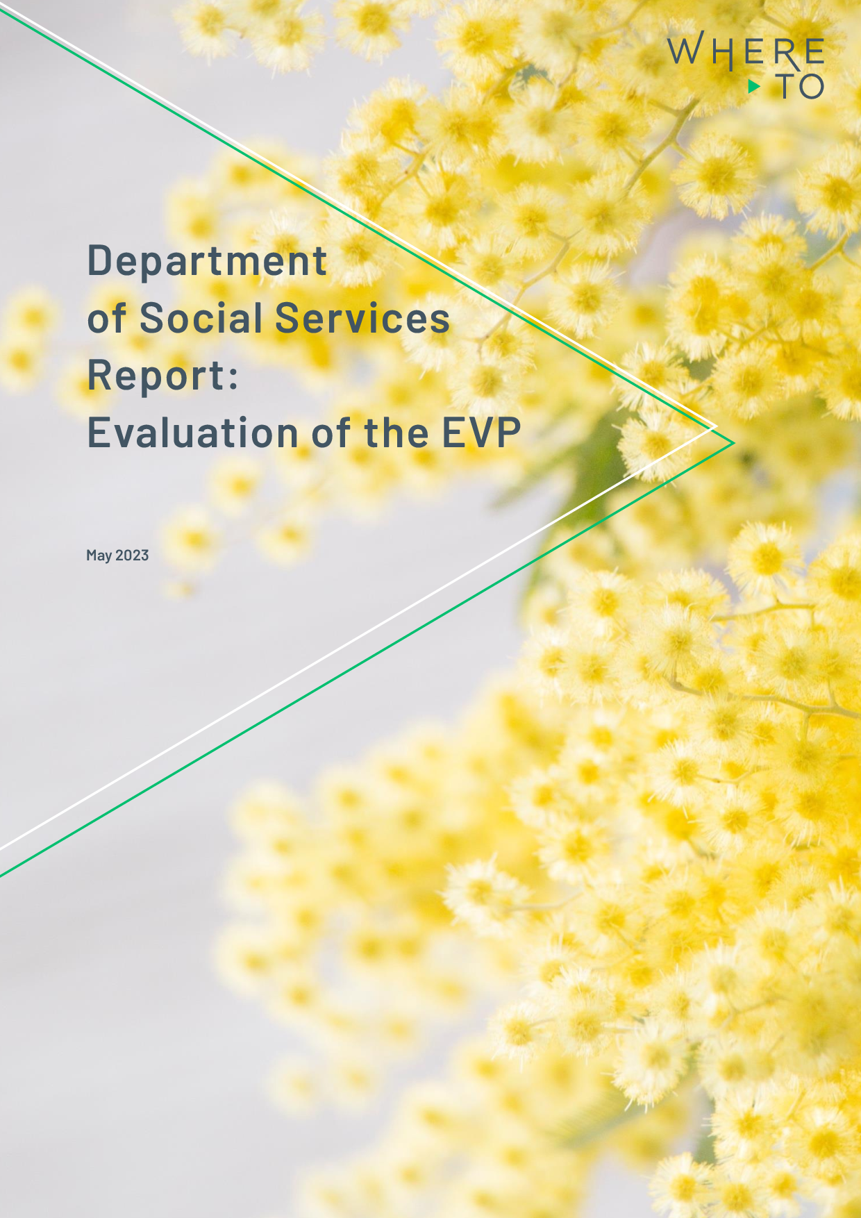 Evaluation of the Escaping Violence Payment (EVP) trial | Department of ...